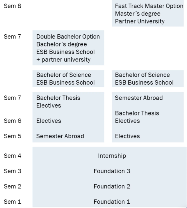 B.Sc. International Business | ESB Business School